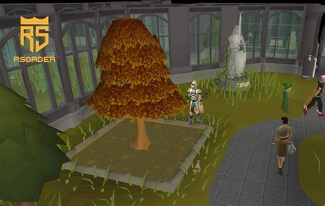 The Ultimate Guide To Osrs Fruit Tree Patches Our Game Guides