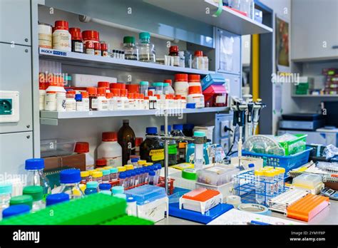 Organized Chemical Reagents And Containers On Laboratory Shelving Biochemistry Laboratory