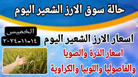 اسعار الارز الشعير اليوم اسعار الارز الابيض والمخلفات اسعار اليوم