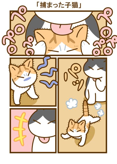 毎日毛づくろいきょろきょろ子猫 コボネのお絵かき