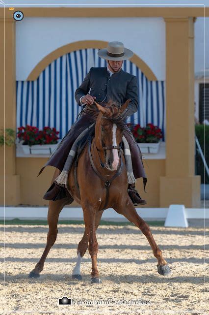 Manuel Salado Y Sus Fotos Xvii Copa De Sm El Rey De Doma Vaquera