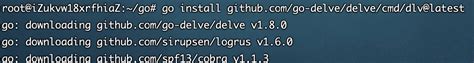 Goland远程开发调试failed To Prepare Environment Csdn博客