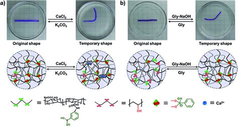 Dual Shape Memory Effect At The Macro Scale A Shape Memory Behaviour Download Scientific