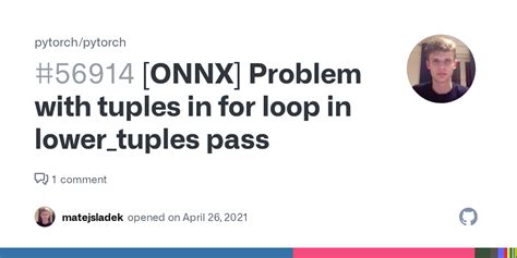 Onnx Problem With Tuples In For Loop In Lowertuples Pass · Issue 56914 · Pytorchpytorch