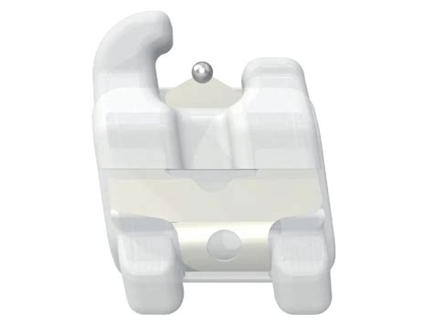Orthodontic Brackets Dental And Orthodontic Supplies Uae Heather And White