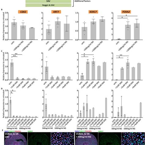 Restoration Of The Definitive Endoderm Differentiation Capacity Of Download Scientific Diagram