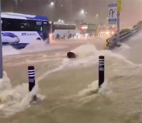 Las Peores Lluvias En Corea Del Sur Dejan 8 Muertos