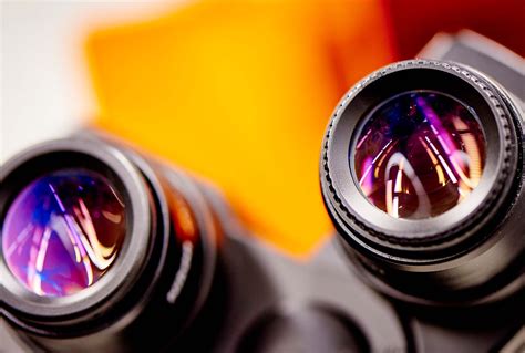 Spectroscopy And Elemental Analysis Faculty Of Science Agriculture