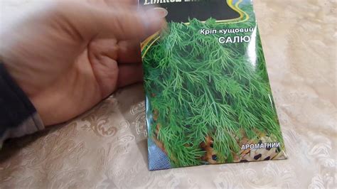 i Семена Микрозелень Укроп Салют Seeds Microgreen Dill Salute куплено в ...