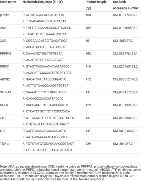 Primer Sequences For Real Time Quantitative Pcr Download Scientific