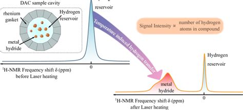 Schematic Representation Of The Quantification Method Prior To Laser Download Scientific