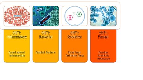Healingcell Pte Ltd Curcumin Benefits