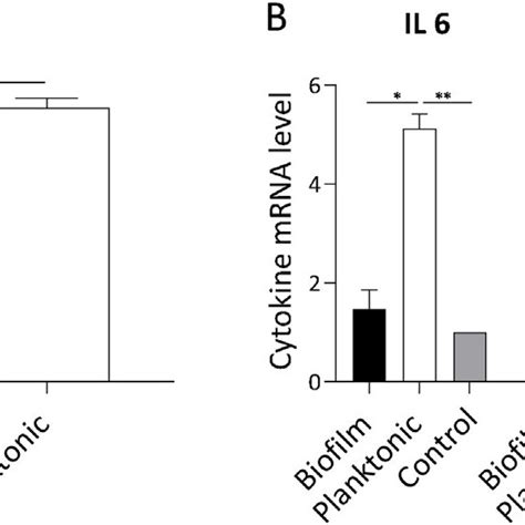 S Enteritidis Biofilm Interaction With Non Phagocytic Cells Hep 2 Download Scientific Diagram