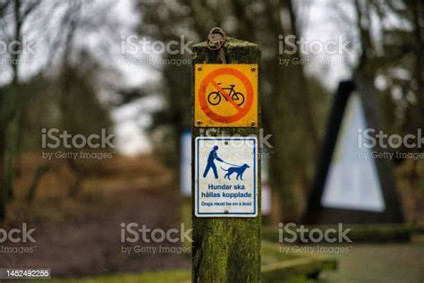 자전거가 없는 표지판과 목줄을 매고 있는 개를 산책시키는 표지판의 근접 촬영 개에 대한 스톡 사진 및 기타 이미지 개 개 산책 걷기 Istock