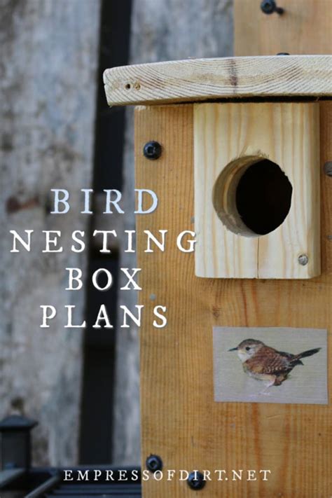 Free Nesting Box Building Plans For Wild Birds Empress Of Dirt
