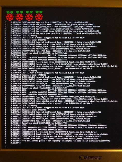 kernel panic how bad is it r raspberry pi
