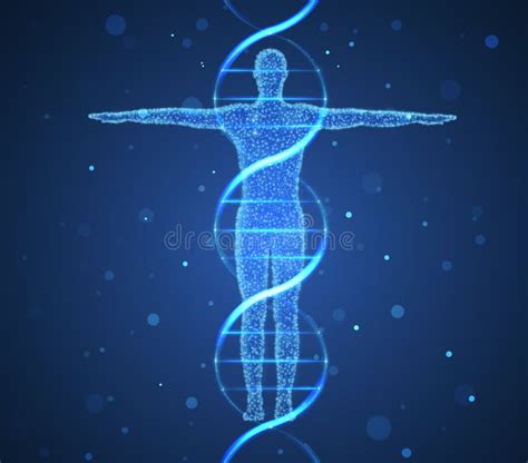 Human Dna Medical Technology Gene Evolution Cellular Health Nervous System Stock Vector