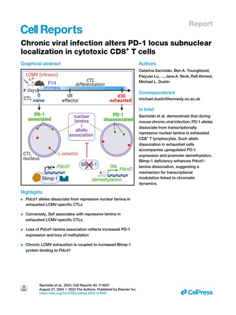 Chronic Viral Infection Alters Pd 1 Locus Subnuclear Localization In
