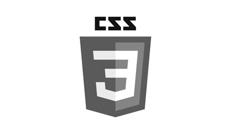 Icone Css Nb Portfolio