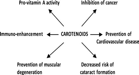 Health Promoting Functions Attributed To Carotenoids Download