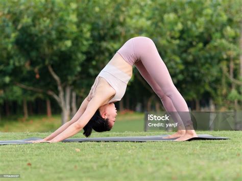 숲 배경으로 초원의 매트에 맨발로 요가를 연습 하는 중년 스포티 한 매력적인 여자 운동 스포츠웨어 바지와 상단을 입고 야외 전체 길이 30 39세에 대한 스톡 사진 및 기타