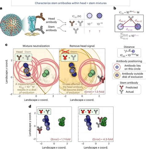 Low Dimensionality To Visualize The Antibody Virus Landscape For Influenza Online Technical