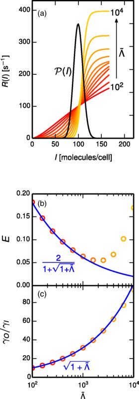 Optimal Noise Reduction In The Minimal Signaling Circuit Fig 1 Download Scientific Diagram