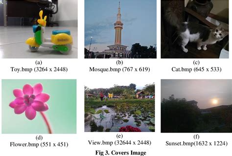 figure 1 from text to color image steganography using lsb technique and xor operations