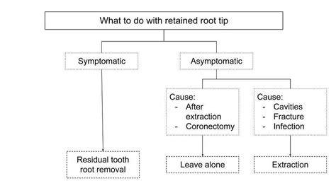 Are Retained Root Tips A Problem 1311 Jackson Ave Dental Dentist In Long Island City Ny