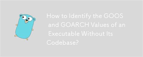 如何在沒有程式碼庫的情況下識別可執行檔的 goos 和 goarch 值？ golang php中文網