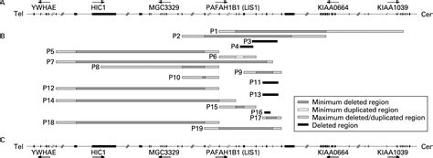 High Frequency Of Genomic Deletionsand A Duplicationin The LIS Gene In Lissencephaly