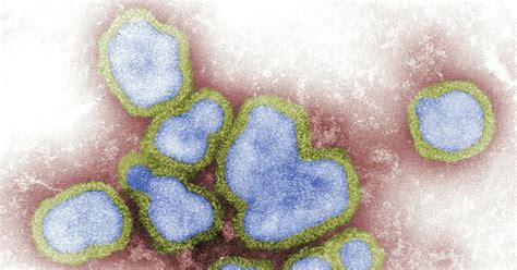 Interactions Between Flu Subtypes Predict Epidemic Severity More Than
