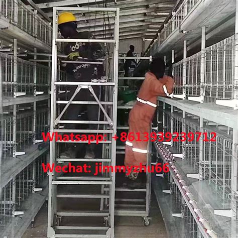 Automatic Poultry Farming Equipments Battery Chicken Breeding Cage For