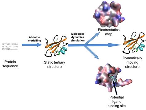 Tetrad Molecular Dynamics… The Future Of Drug Discovery Tetrad