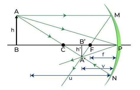 Understanding Reflection Convex Mirror Ray Diagrams A Detailed Guide