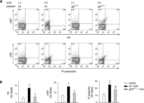 Airway Acid Induced Tf Vwf And P Selectin Expressions Are Inhibited Download Scientific
