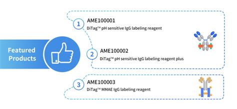 Dual Function Reagent For Adc Screening Evaluating Internalization And