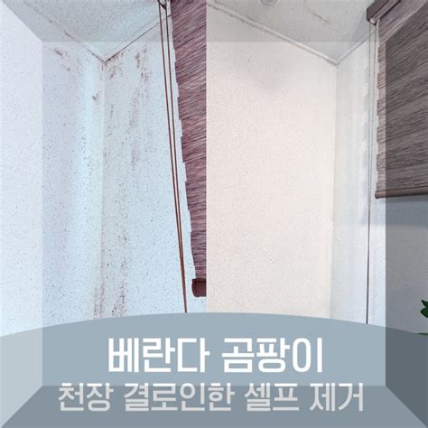 베란다 탄성코트 천장 결로인한 곰팡이 제거방법 네이버 블로그