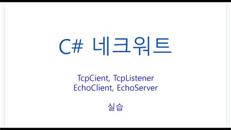 C Echoclient Server 실습 Tcpclient Tcplistener 멀티쓰레드기반 클라이언트 서버 Youtube