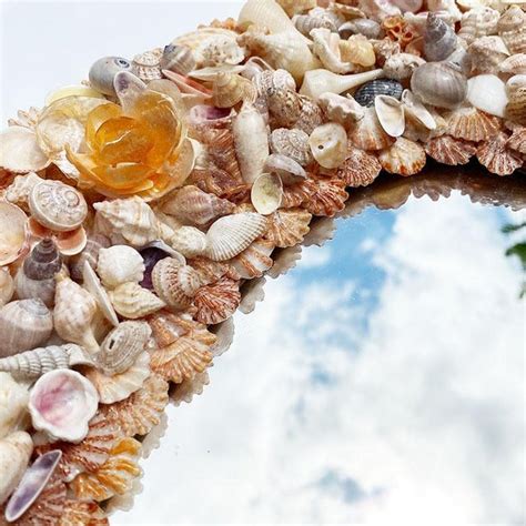 Coastal Oval Sea Shell Encrusted Wall Mirror Chairish