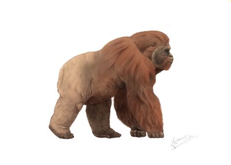 Gigantopithecus