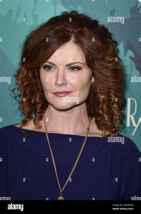 Rebecca Wisocky Arrives At The 2014 Variety Power Of Women Event At The