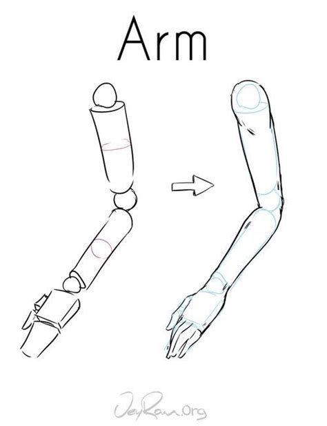 How To Draw The Torso Step By Step Tutorial Free Practice Worksheet Printable JeyRam