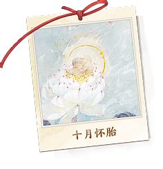 素材 相片 花瓣网 陪你做生活的设计师 倩女幽魂手游养育宝典新晋爸妈必读