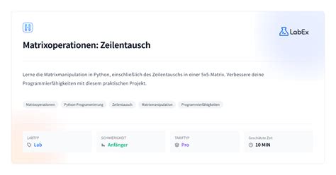 Matrixoperationen Python Programmierung Zeilentausch Labex