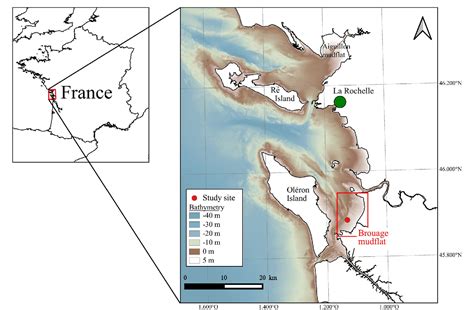 Figure 4 From Mapping The Intertidal Microphytobenthos Gross Primary