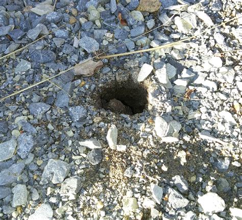 Moss Lake — Nelsons Cottages