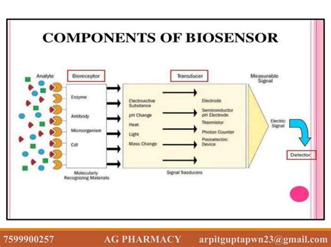 Ii Biosensor Principle Applications And Working Ii Ppt