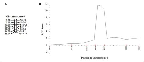 Validation Of The Stigma Color Quantitative Trait Loci Qtls In Download Scientific Diagram