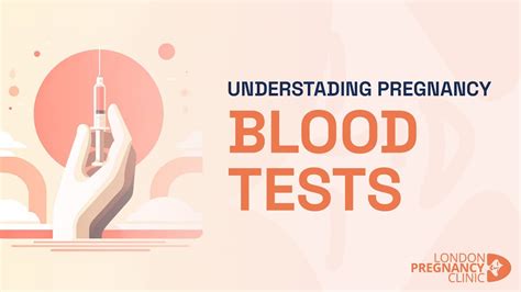 Blood Tests For Pregnancy Everything You Need To Know Youtube